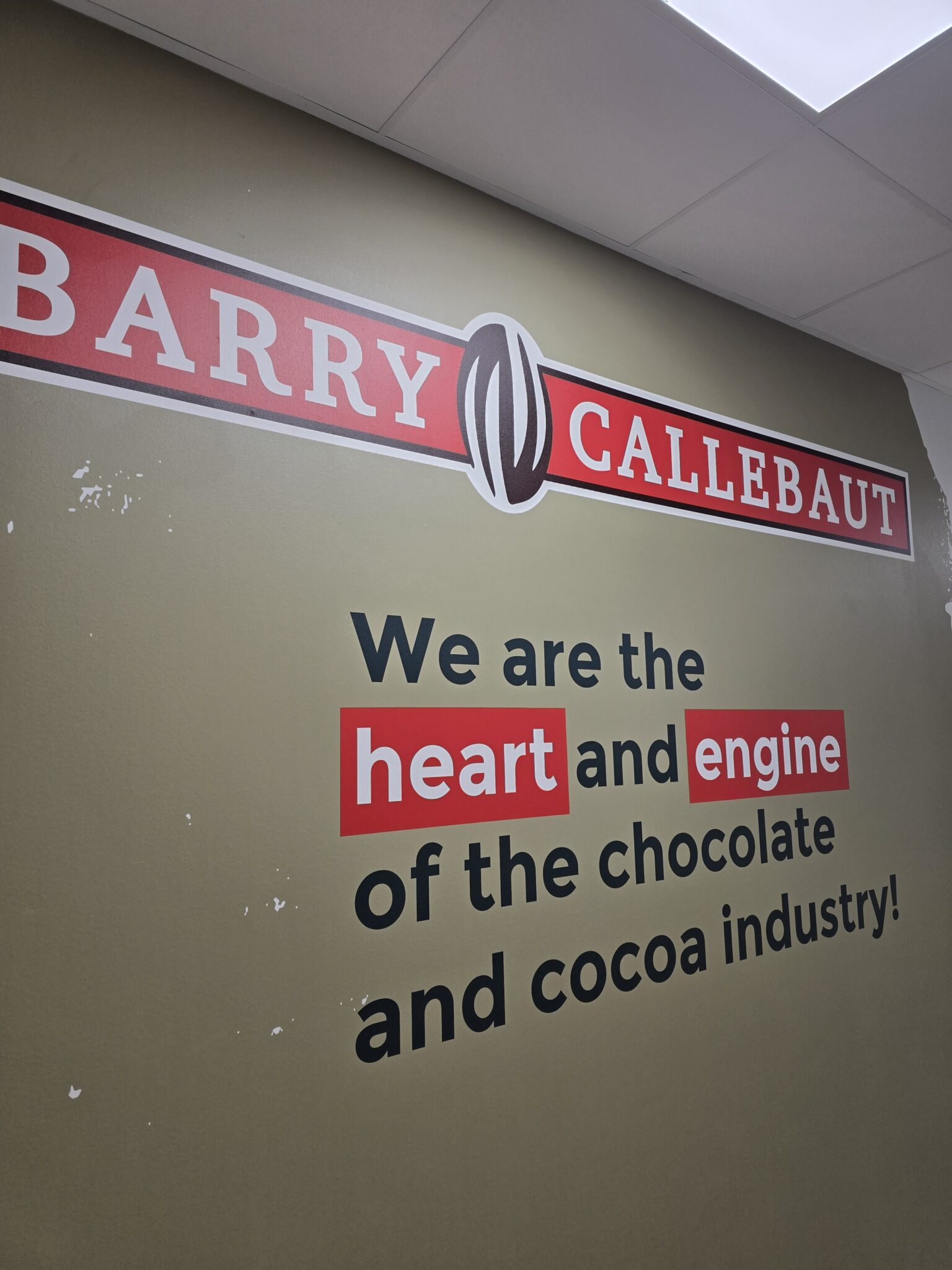 Trots op onze TALenten: Nils maakt meteen het verschil op de werkvloer ...